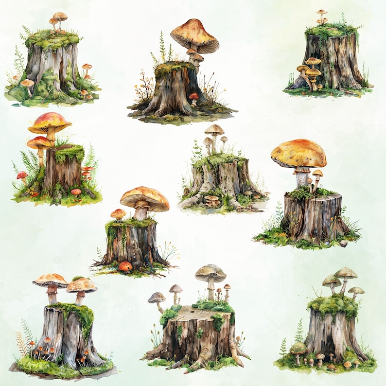Watercolor Tree Stump Clipart: Mushrooms and Moss (30 PNG) - Etsy