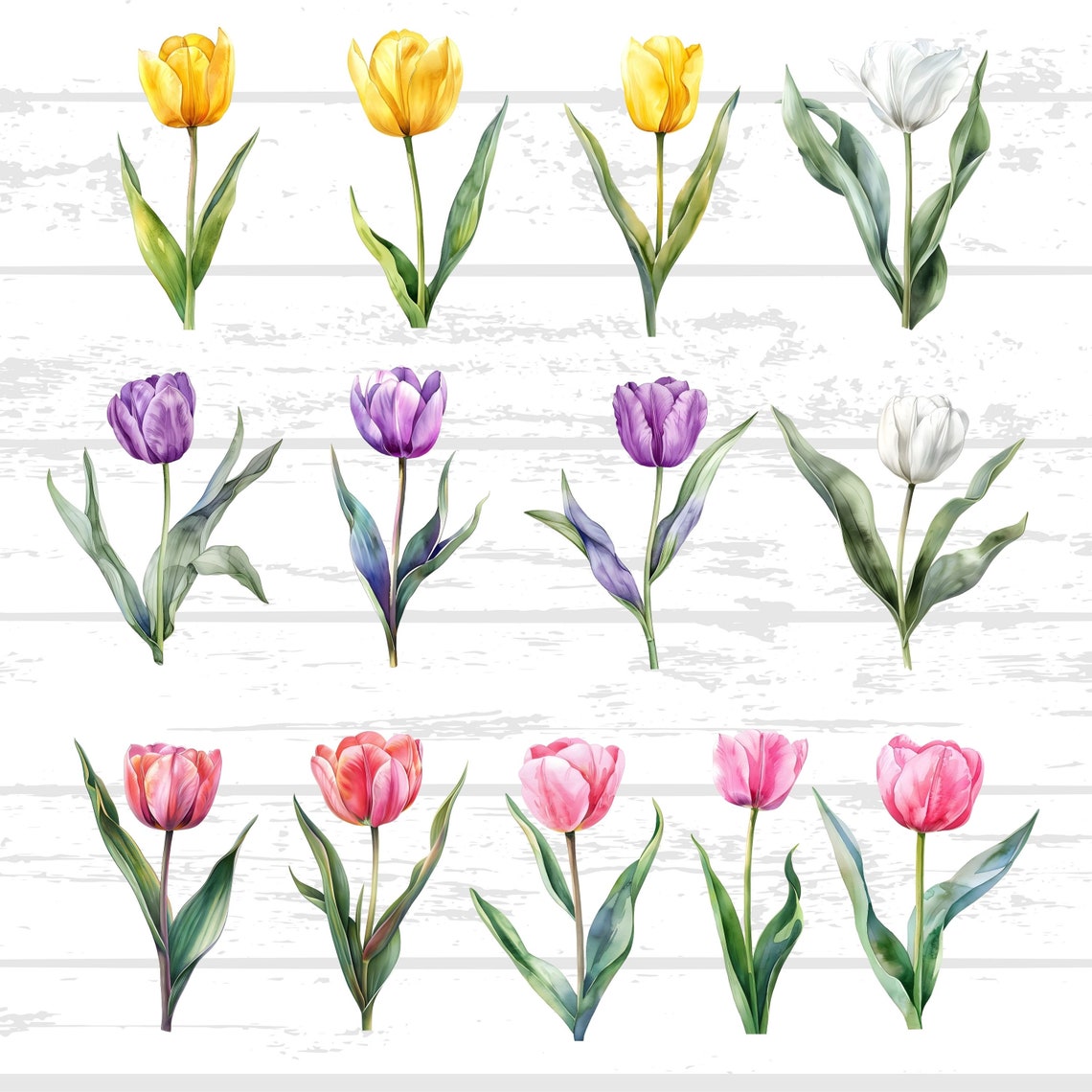 Watercolor Tulips Clip Art PNG, Tulip Clip Art Digital Downloads, Card ...