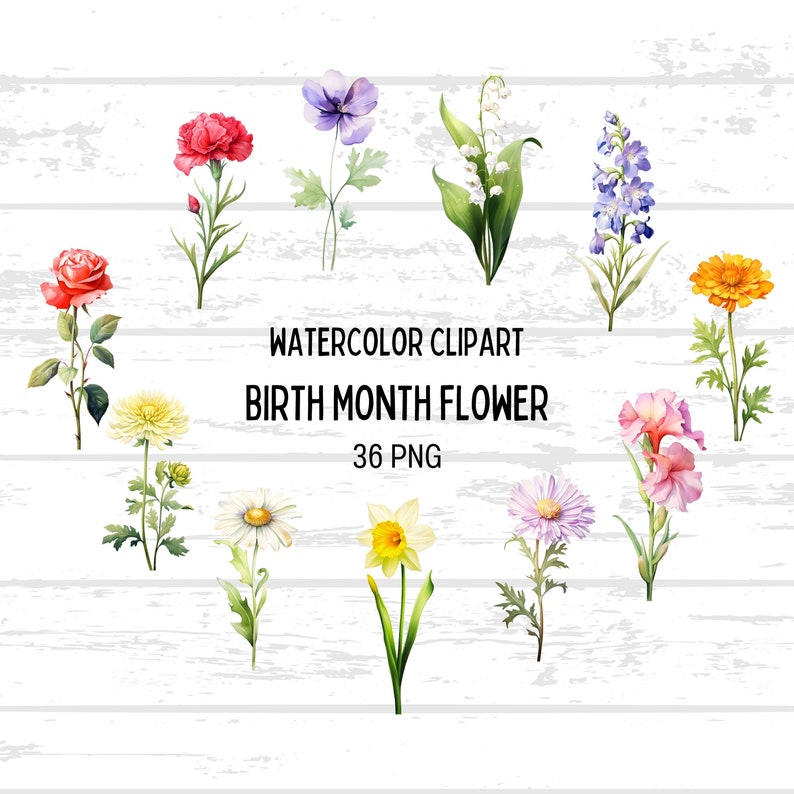 Birth Month Flowers Clipart, Watercolor Floral Clipart Wildflower PNG ...