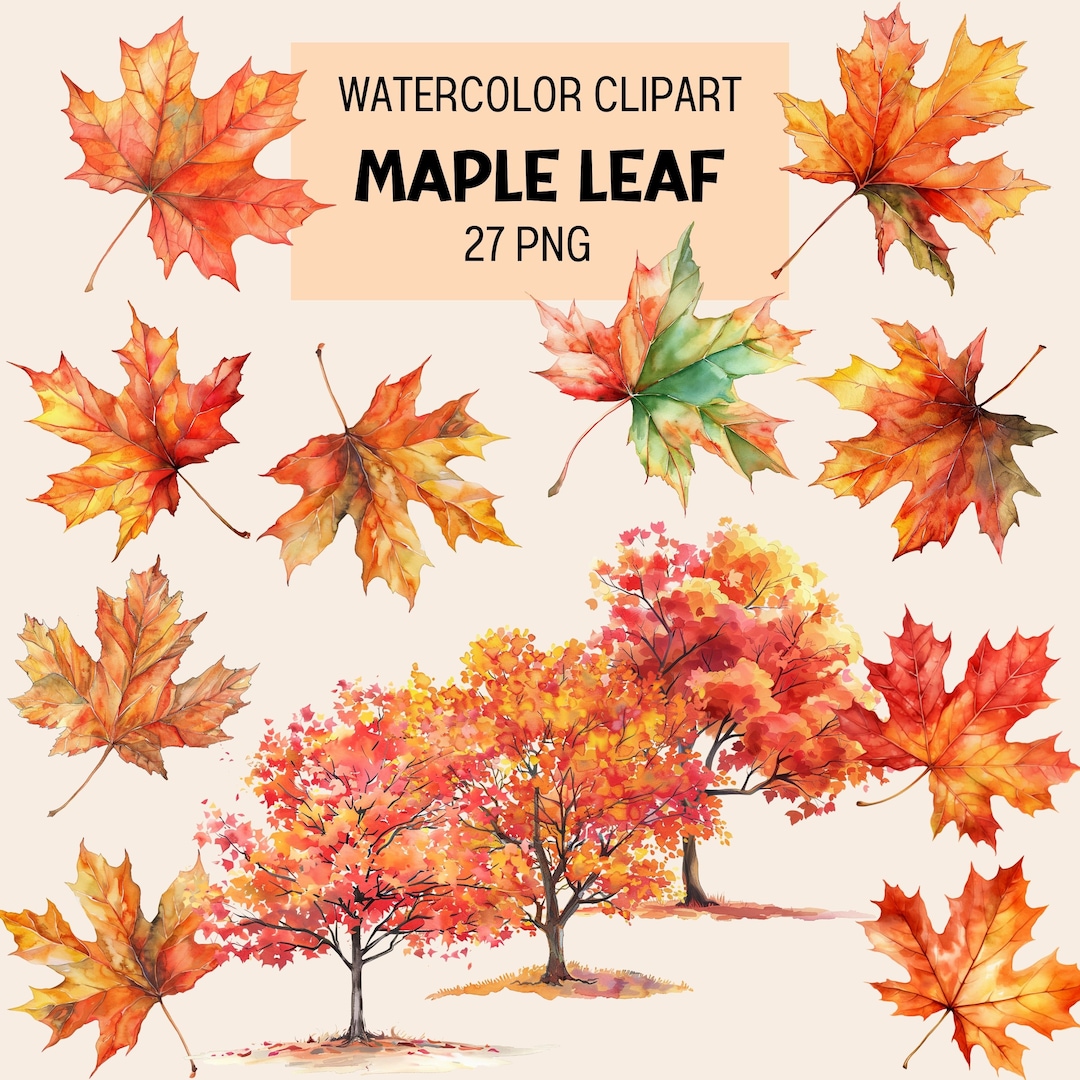 Watercolor Maple Leaves Clipart Bundle, Fall Leaves PNG, Leaves PNG ...