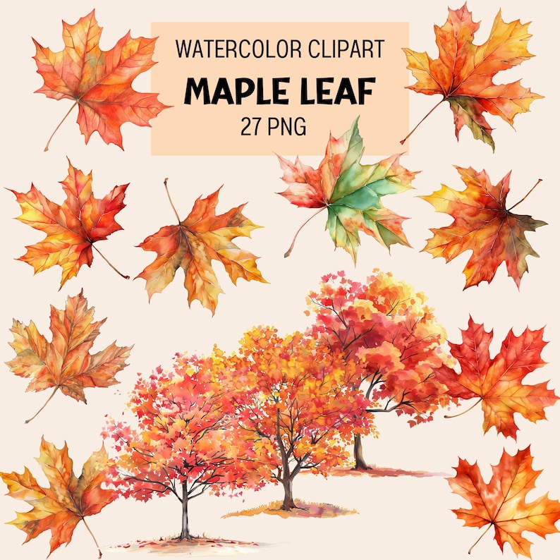 Watercolor Maple Leaves Clipart: Autumn PNG Bundle (digital Download ...