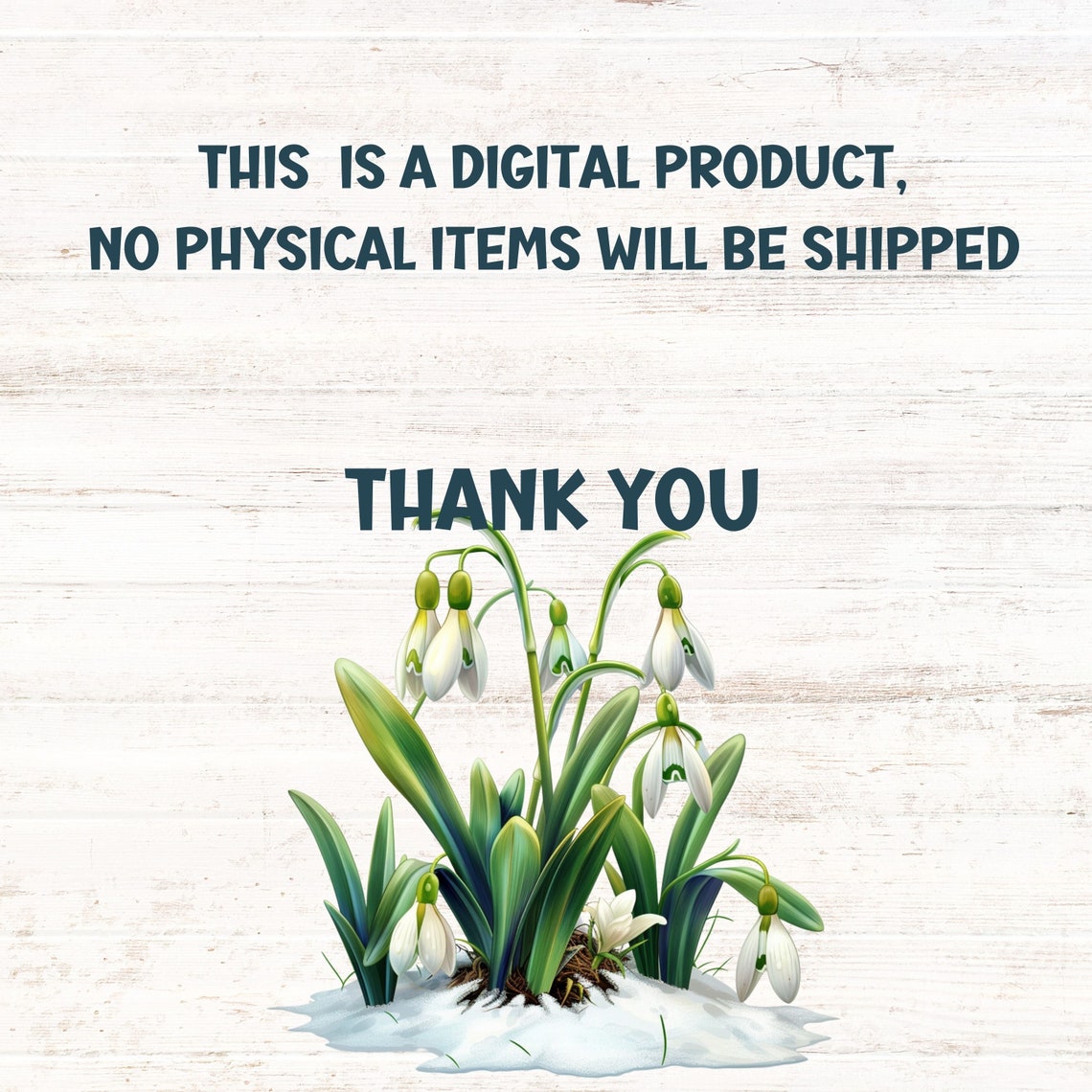 38 PNG Snowdrop Birthflower Clipart Bundle PNG, January Birth Flower ...