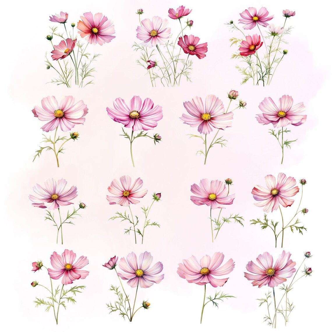 26 PNG Cosmos Birthflower Clipart Bundle, October Birth Flower ...