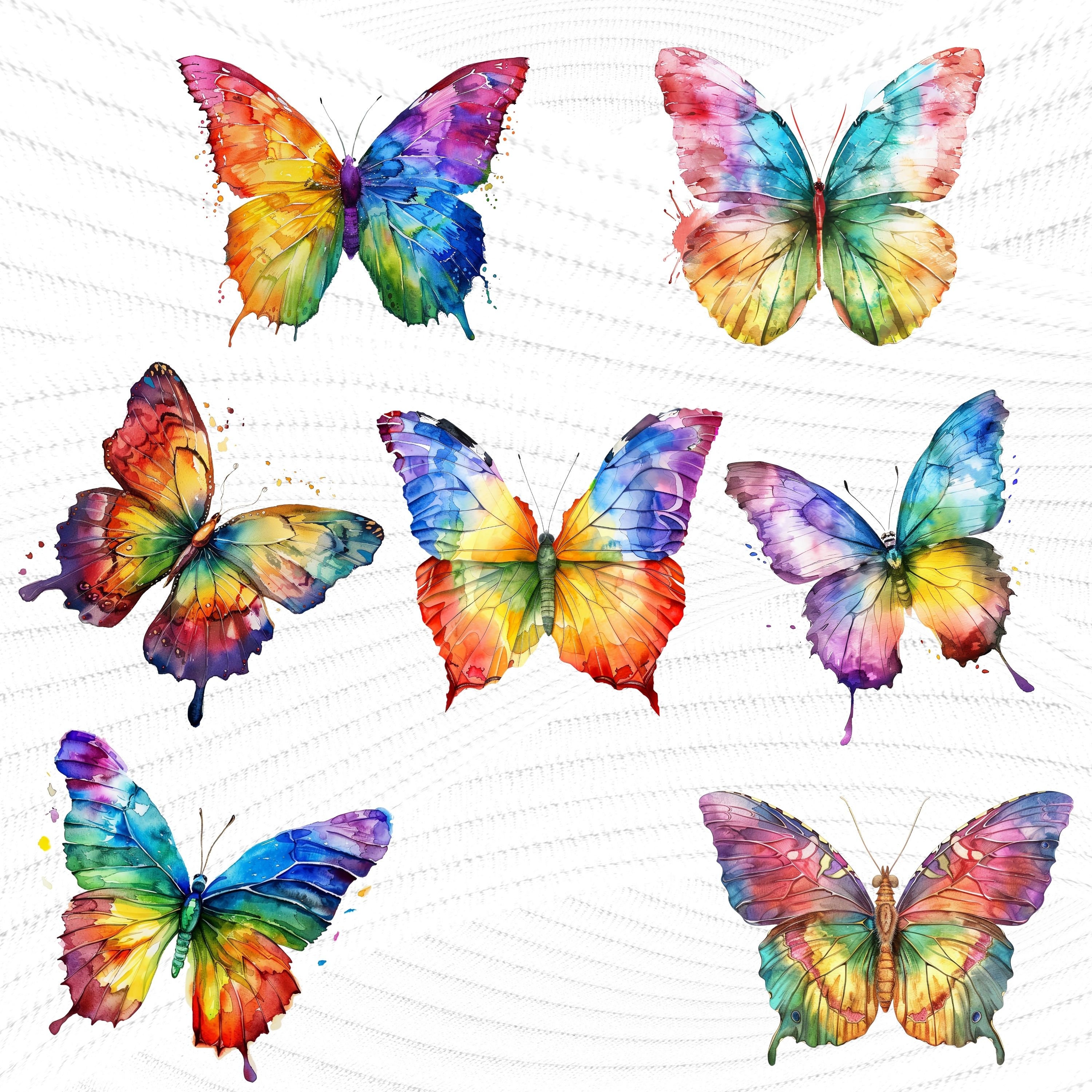 Watercolor Rainbow Butterfly Clipart: Colorful PNG Bundle (23 Files) - Etsy