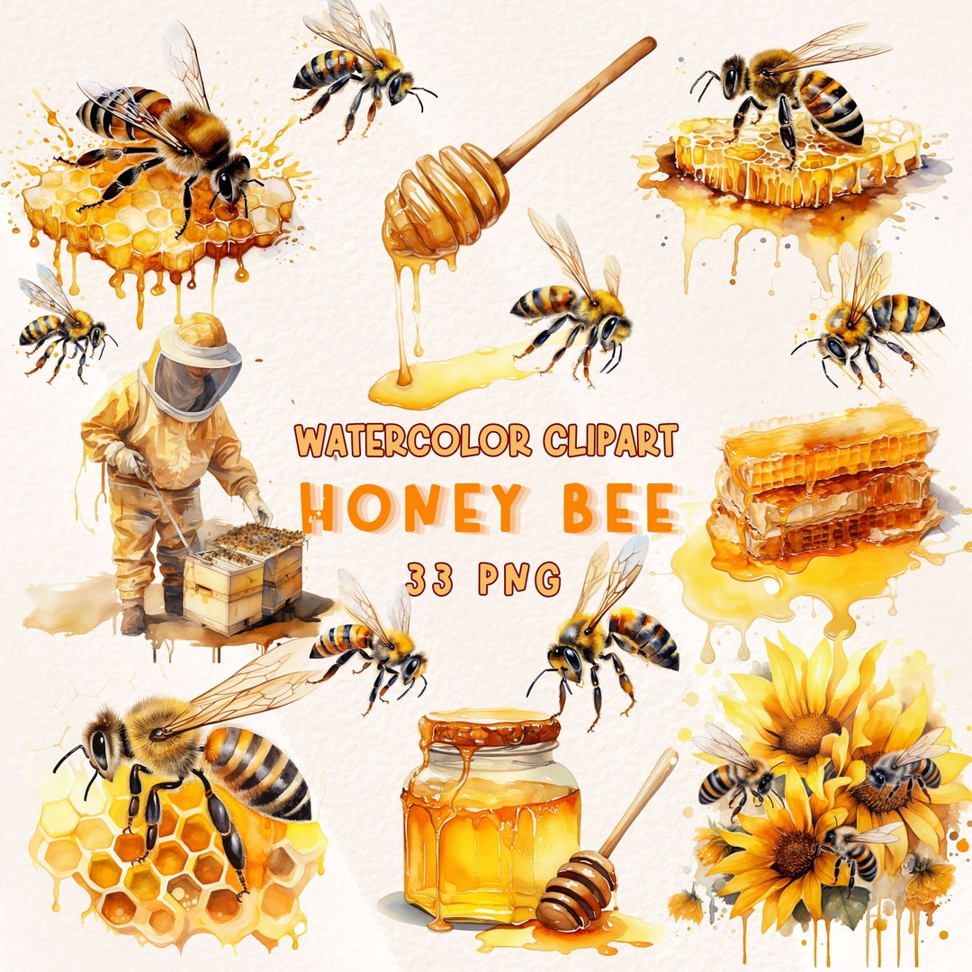 Bee Watercolor Clipart, Honey Bee Clipart Spring PNG, Farm Beehive ...