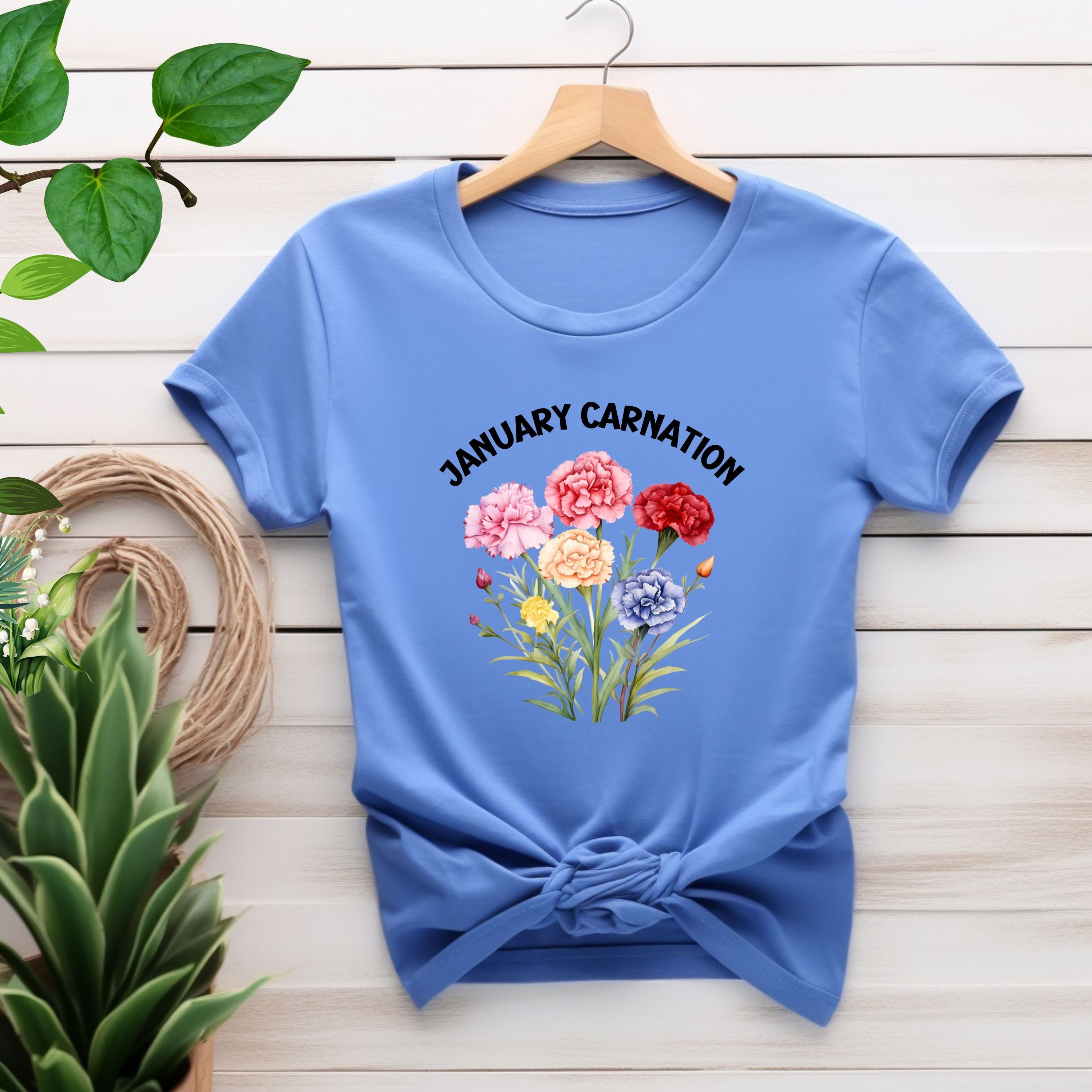 Carnation Watercolour Clip Art PNG, Carnation January Birth Month ...