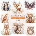 Boho Woodland Animals Clipart, Cute Woodland Animals, Watercolor ...