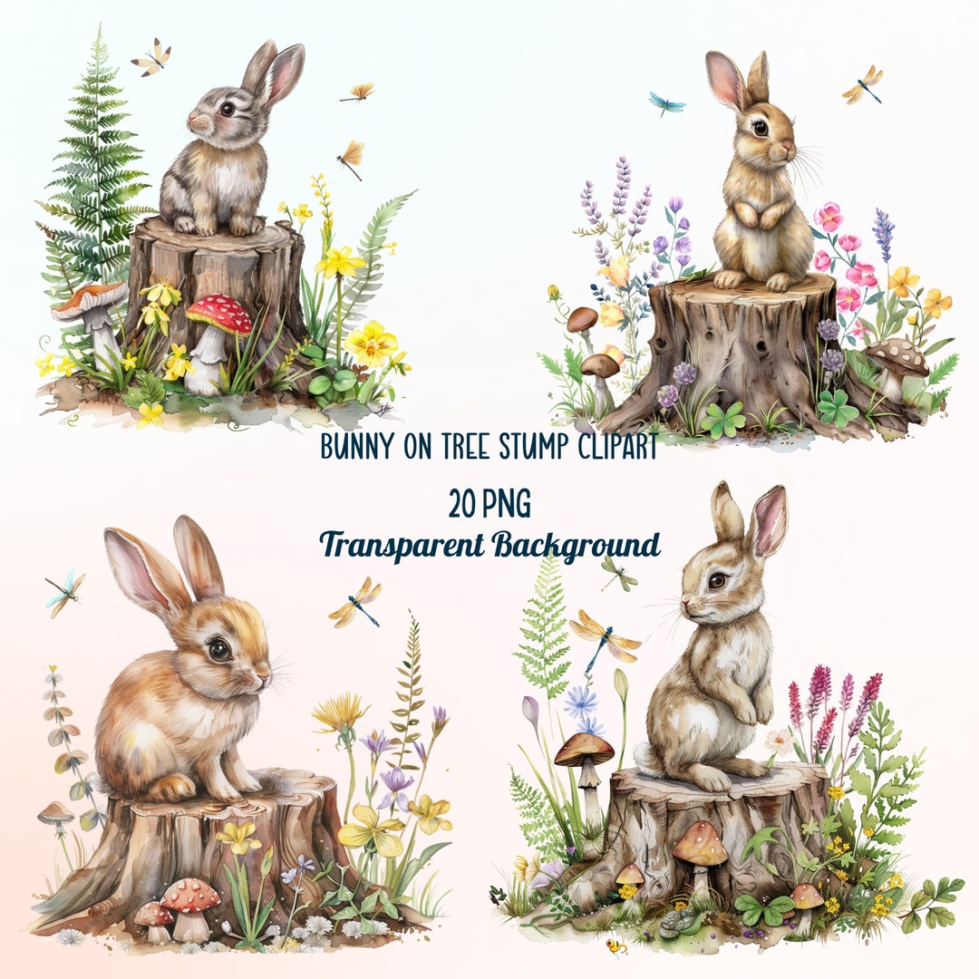 Watercolor Bunny Clipart: Woodland Animal PNG (digital Download) - Etsy