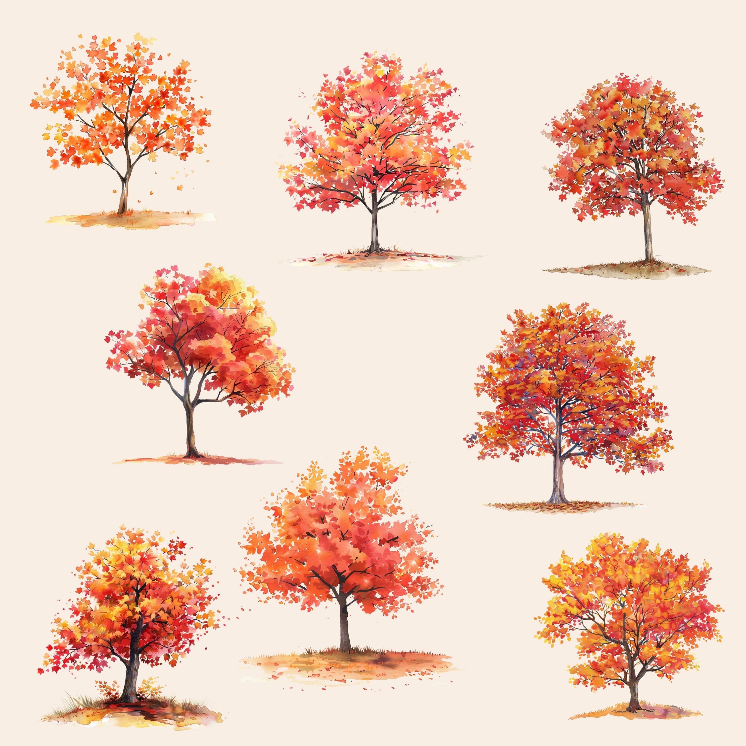 Watercolor Maple Leaves Clipart: Autumn PNG Bundle (digital Download ...