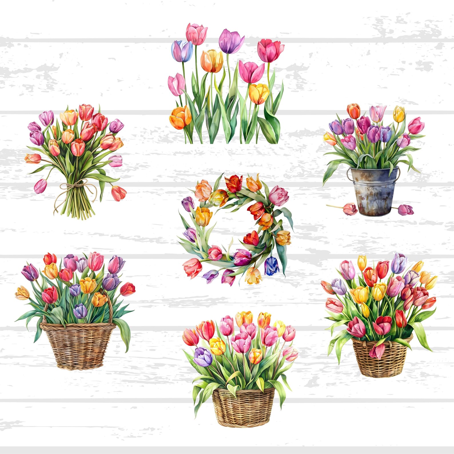 Watercolor Tulips Clip Art PNG, Tulip Clip Art Digital Downloads ...