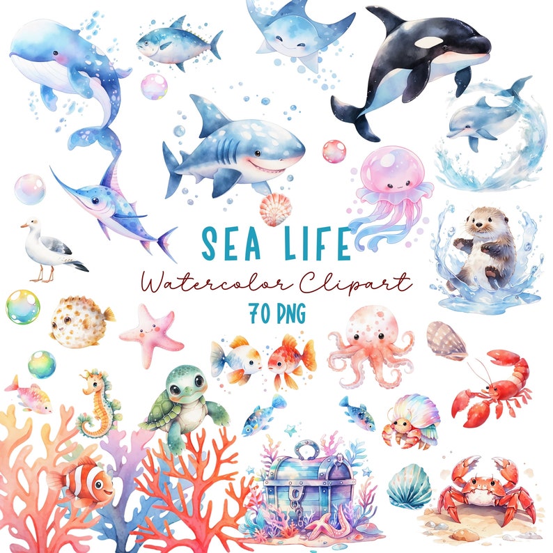 Watercolor Sea Life Clipart: Ocean Animals PNG (70 Files) - Etsy