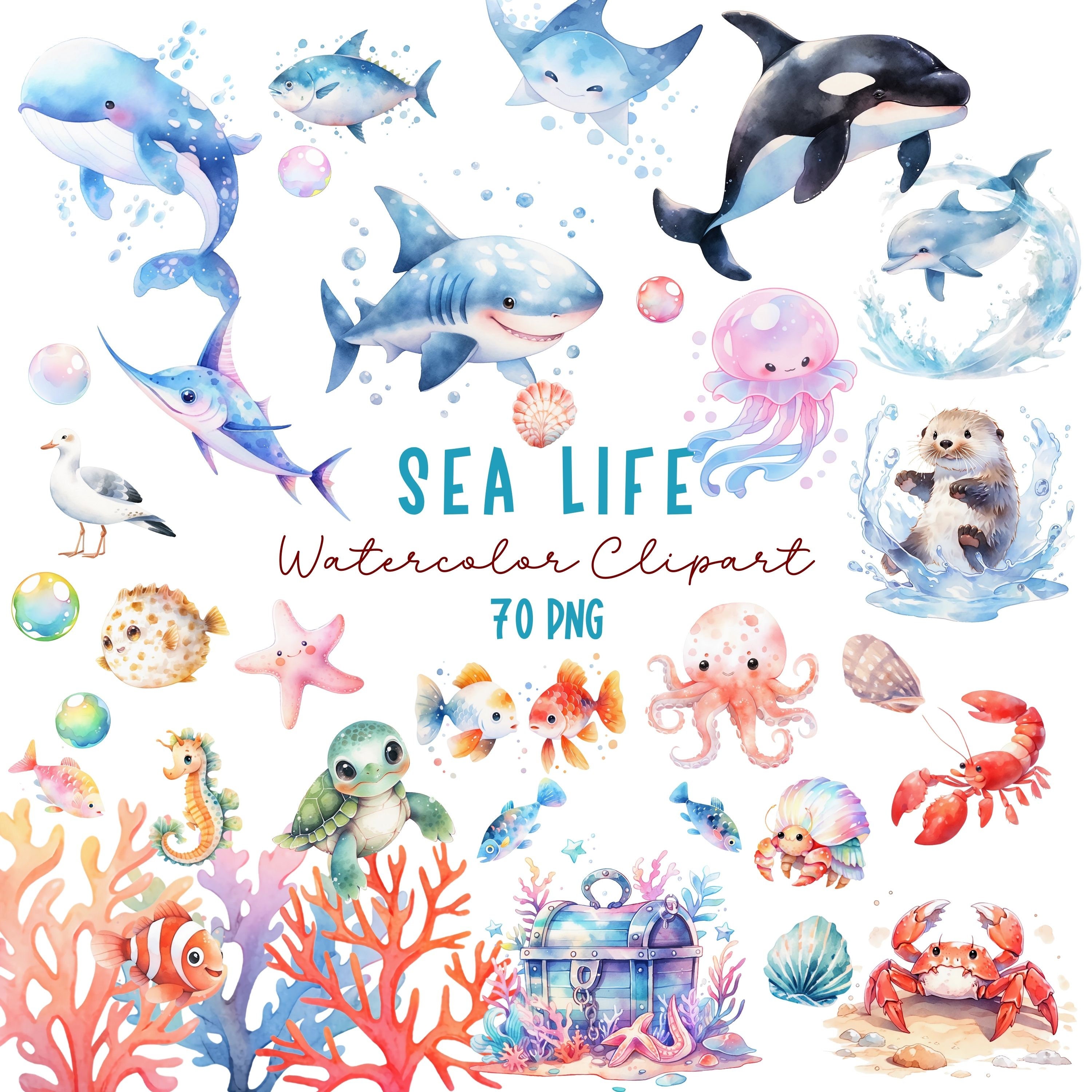 Watercolor Sea Life Clipart: Ocean Animals PNG (70 Files) - Etsy