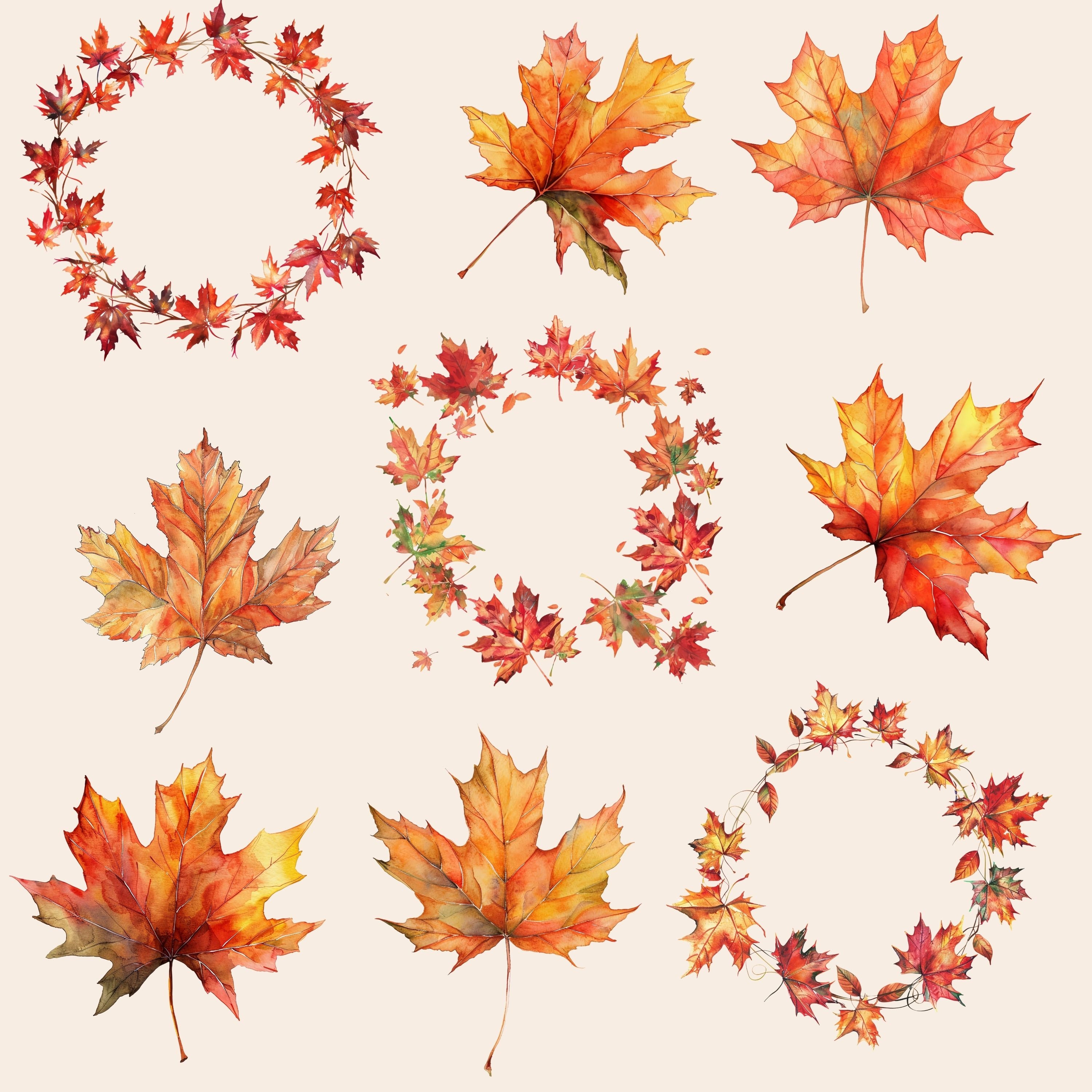 Watercolor Maple Leaves Clipart: Autumn PNG Bundle (digital Download ...