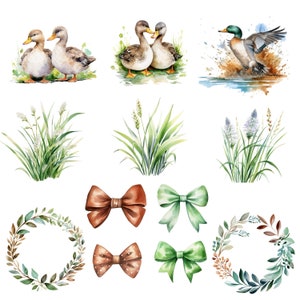 Watercolor Mallard Duck Clipart, Duck Clipart, Duck Png, Birthday Party ...