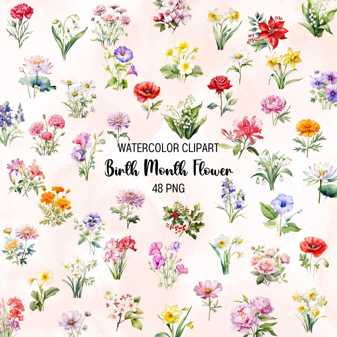 Watercolor Birth Month Flower Clipart, Birth Month Flower PNG, Birth ...