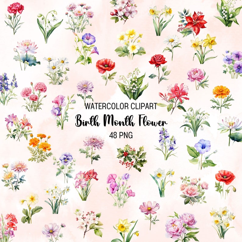 Watercolor Birth Month Flower Clipart, Birth Month Flower PNG, Birth ...