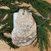 Hand Painted Cardinal Oyster Shell Ornament - Etsy