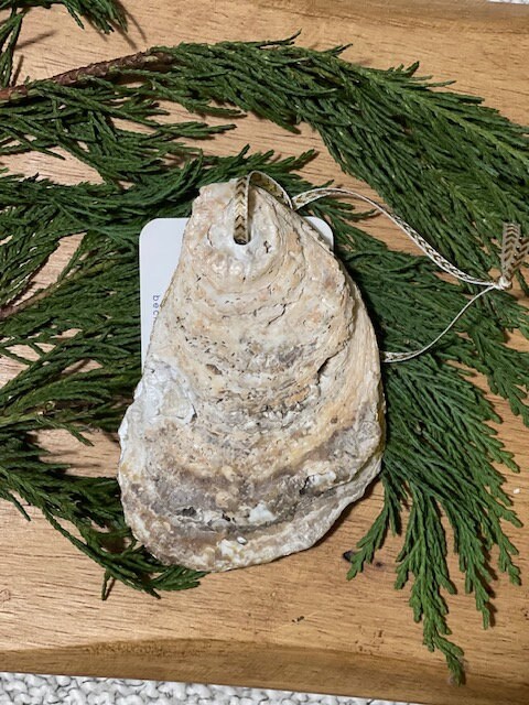 Hand Painted Cardinal Oyster Shell Ornament - Etsy