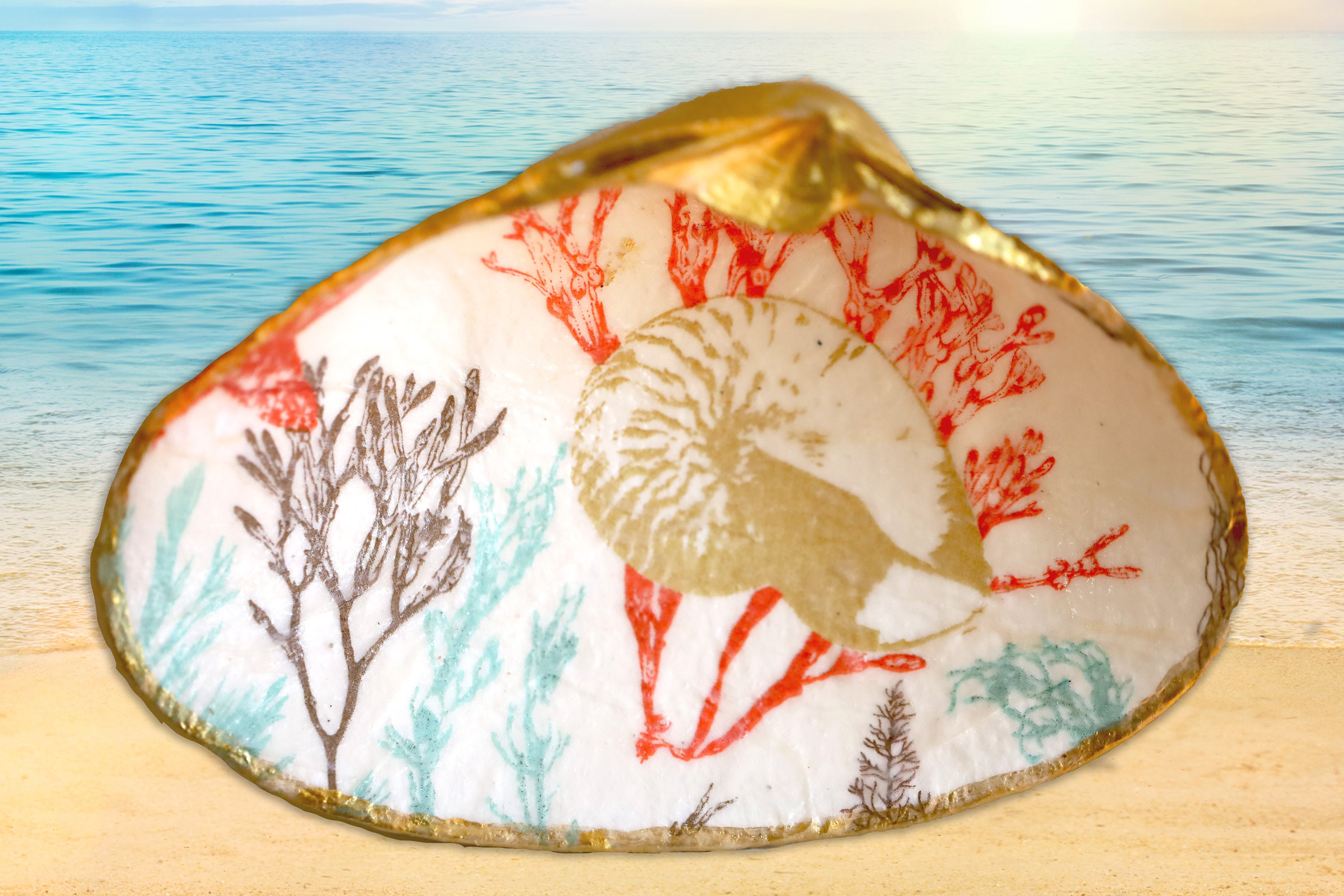 Sea Life Decoupage Shell-crane Beach - Etsy