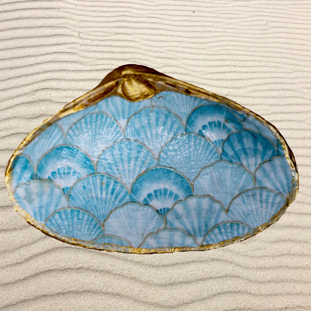 Blue Scallop Decoupage Shell - Etsy