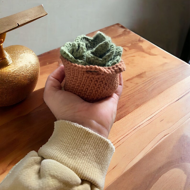 Crochet Succulent Coasters Nesting Plant Coasters Home Decor Handmade ...