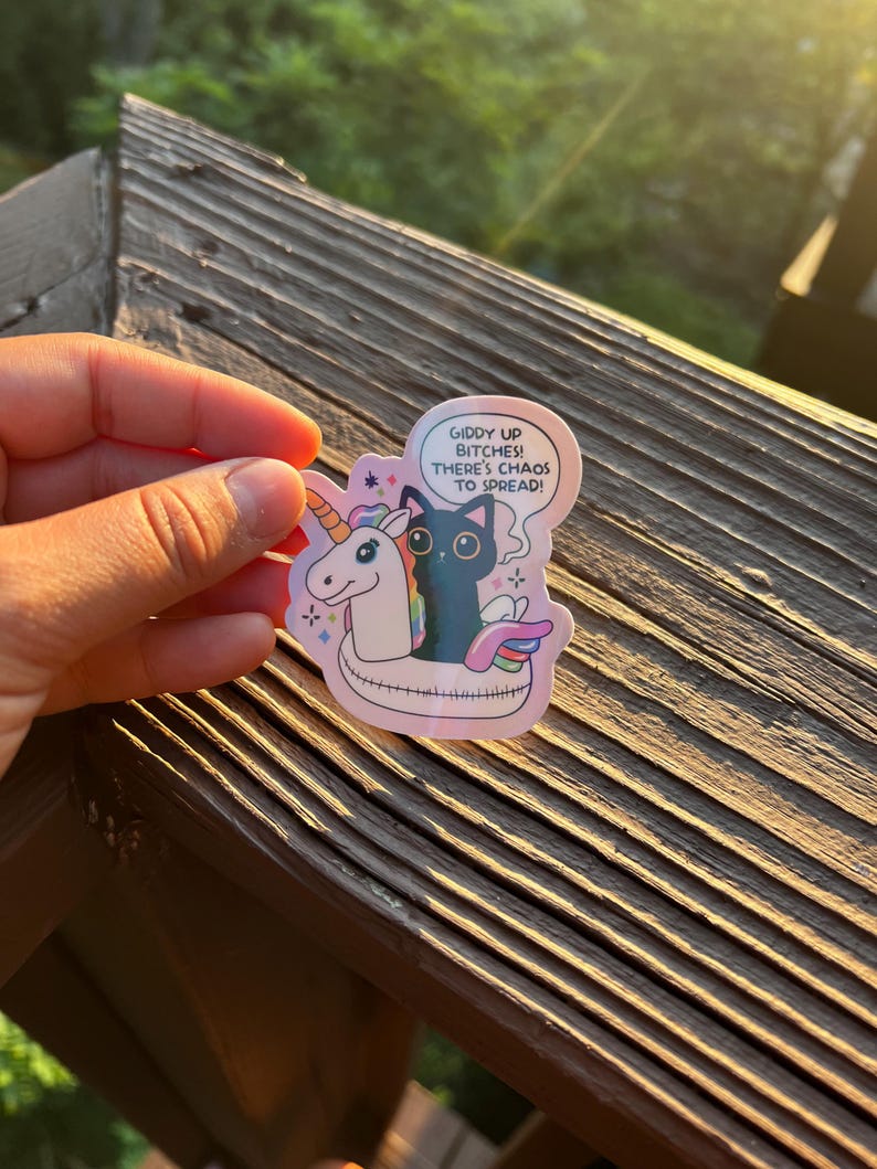 Funny Witty Holographic Stickers for Water Bottles, Kindle, Laptop, Etc ...