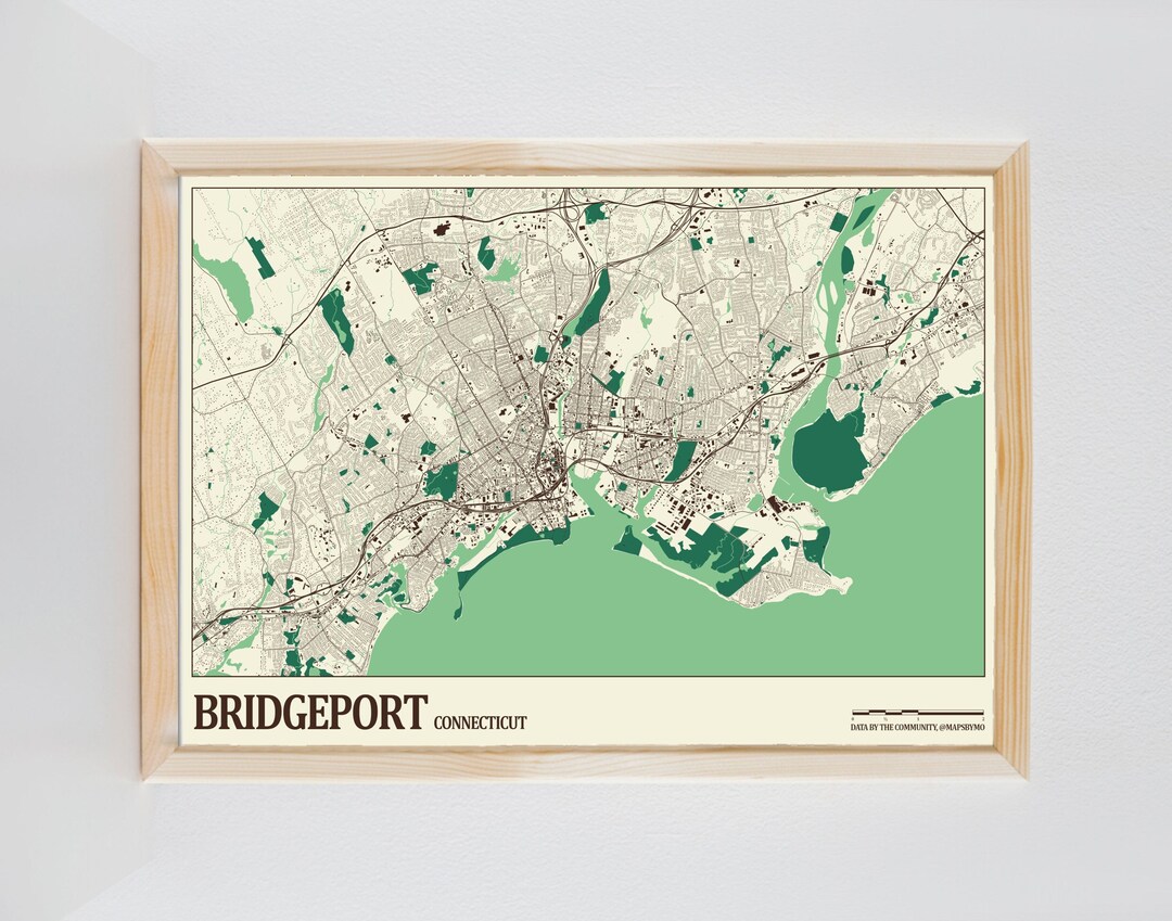 Bridgeport Street Map - Etsy Canada
