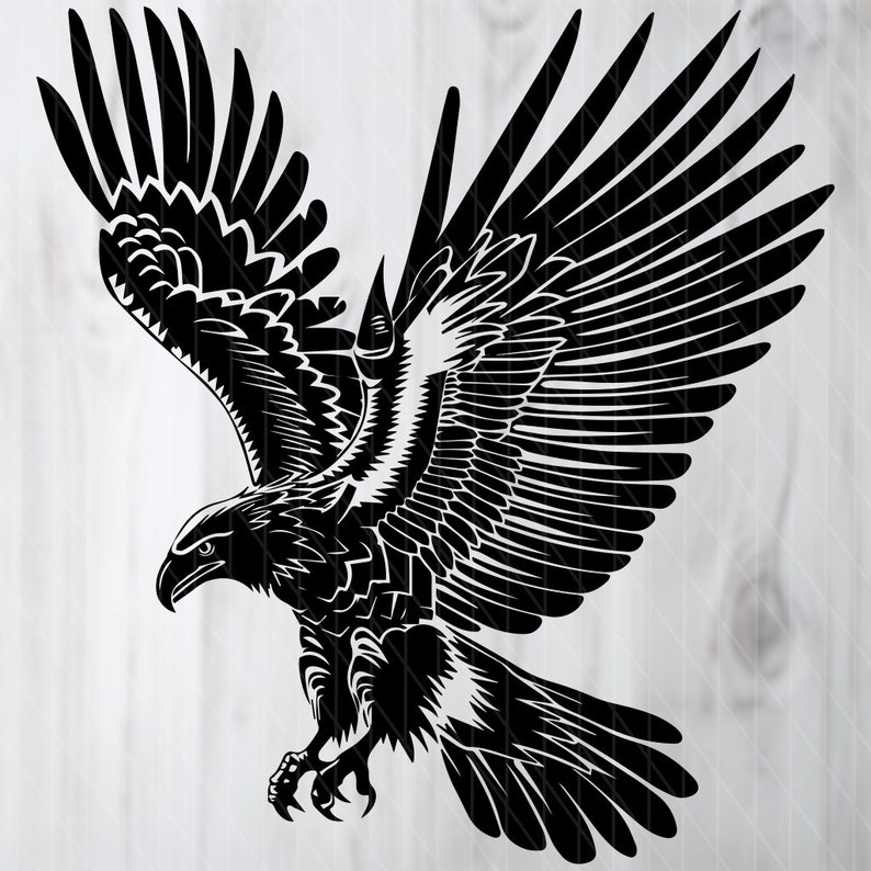 Eagle SVG Files for Instant Download, Bald Eagle SVG File for POD, Bird ...