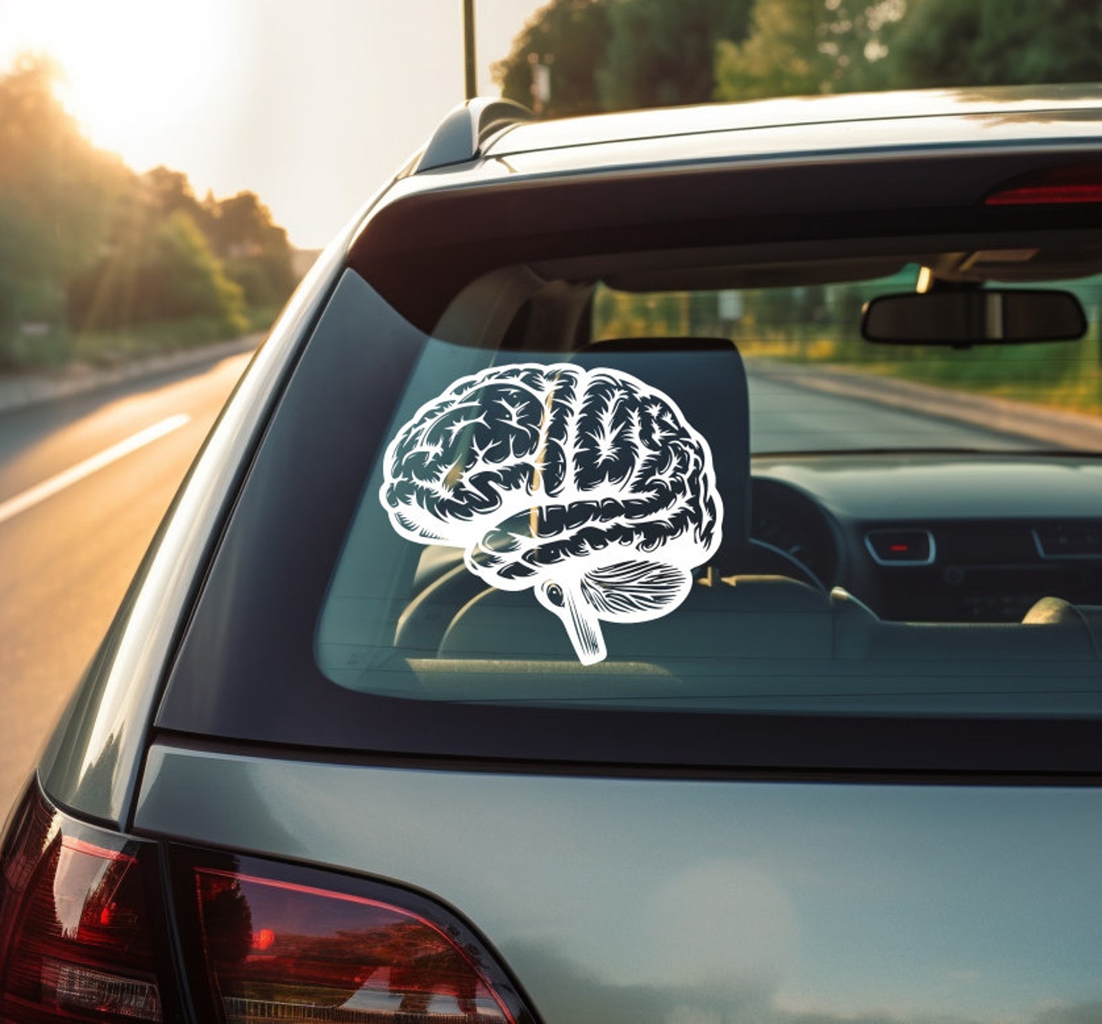 Human Brain SVG Files for Instant Download, Brain SVG File for POD ...