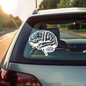 Human Brain SVG Files for Instant Download, Brain SVG File for POD ...