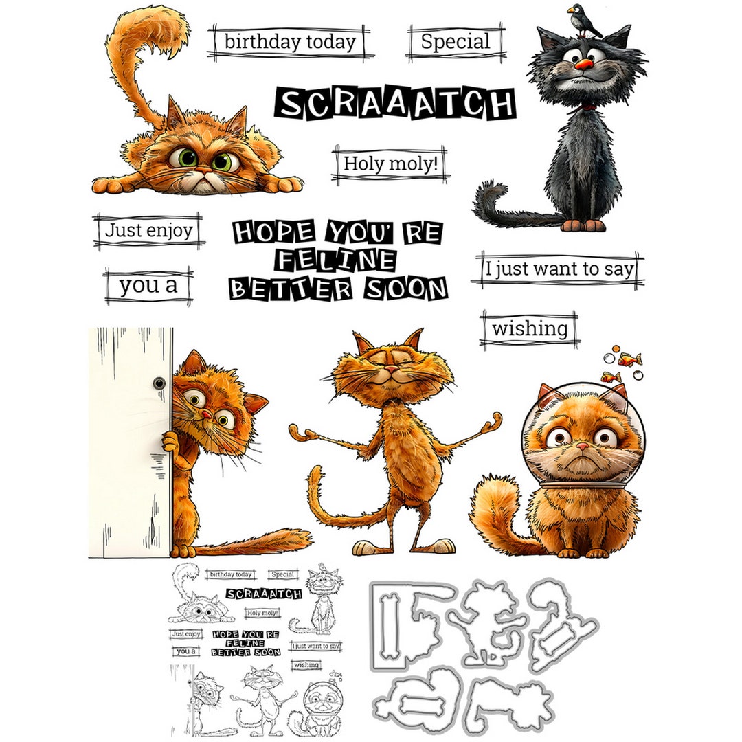 Cute Cats Hope You're Feline Better Soon Special Birthday Today Metal ...