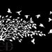 Flowing Tree With Birds Flying Tree Png Digital File Download Scale ...