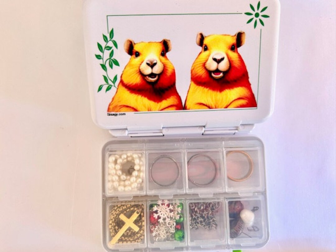 Unique Capybara Design 8-compartment Multipurpose Pill Container ...