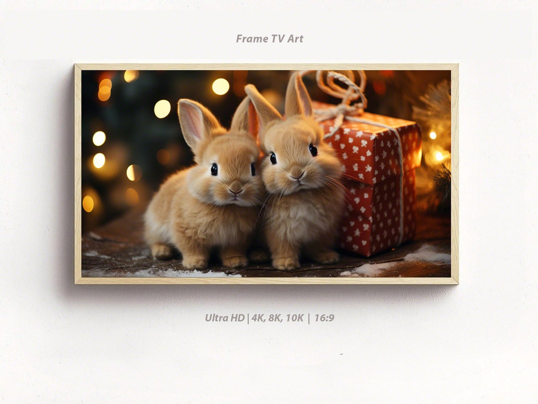 Cute Bunnies Frame TV | Adorable Samsung Frame TV | Samsung Bunny Frame ...