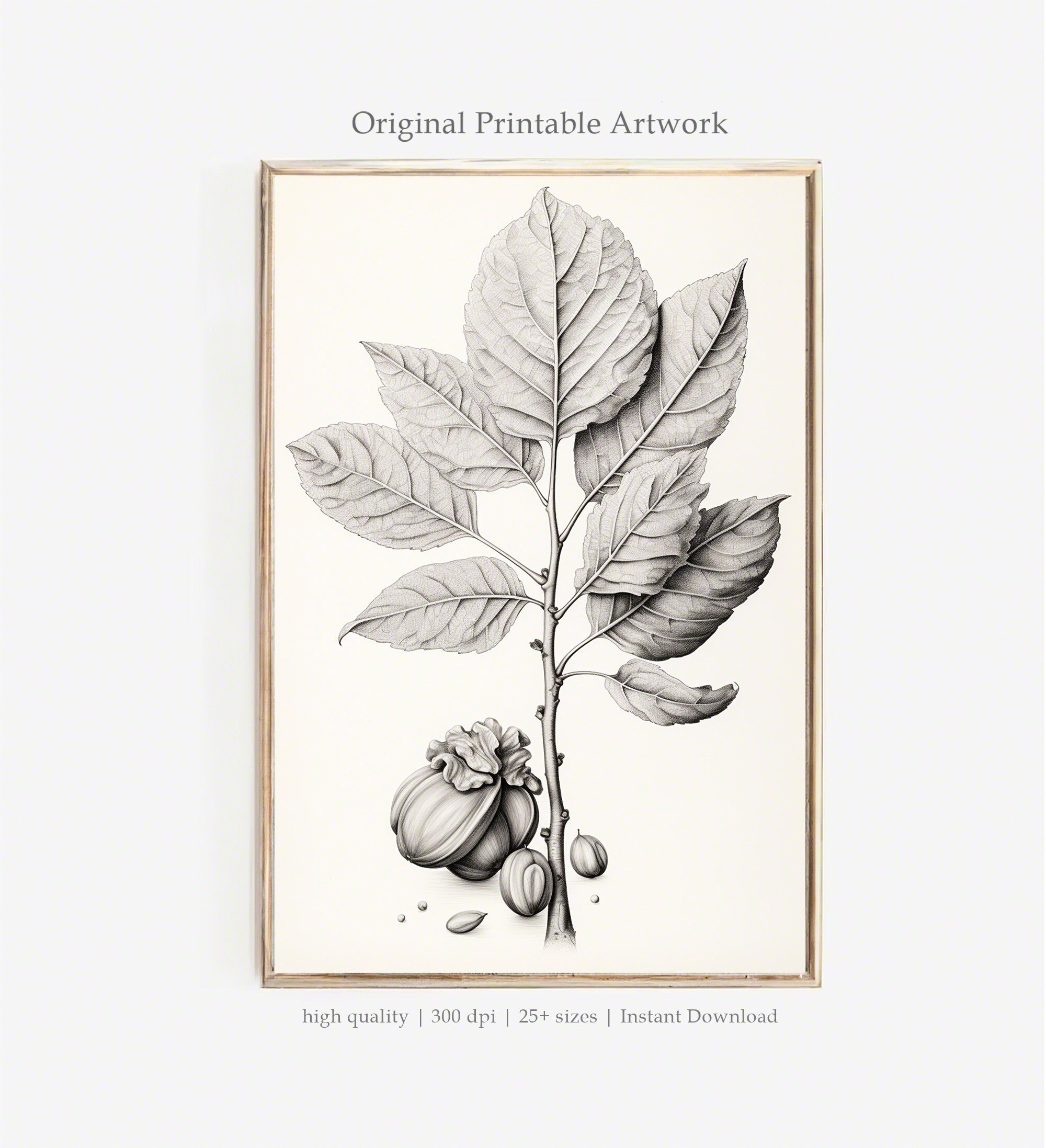 Botanical Illustration PRINTABLE Art | Detailed Plant Drawing ...