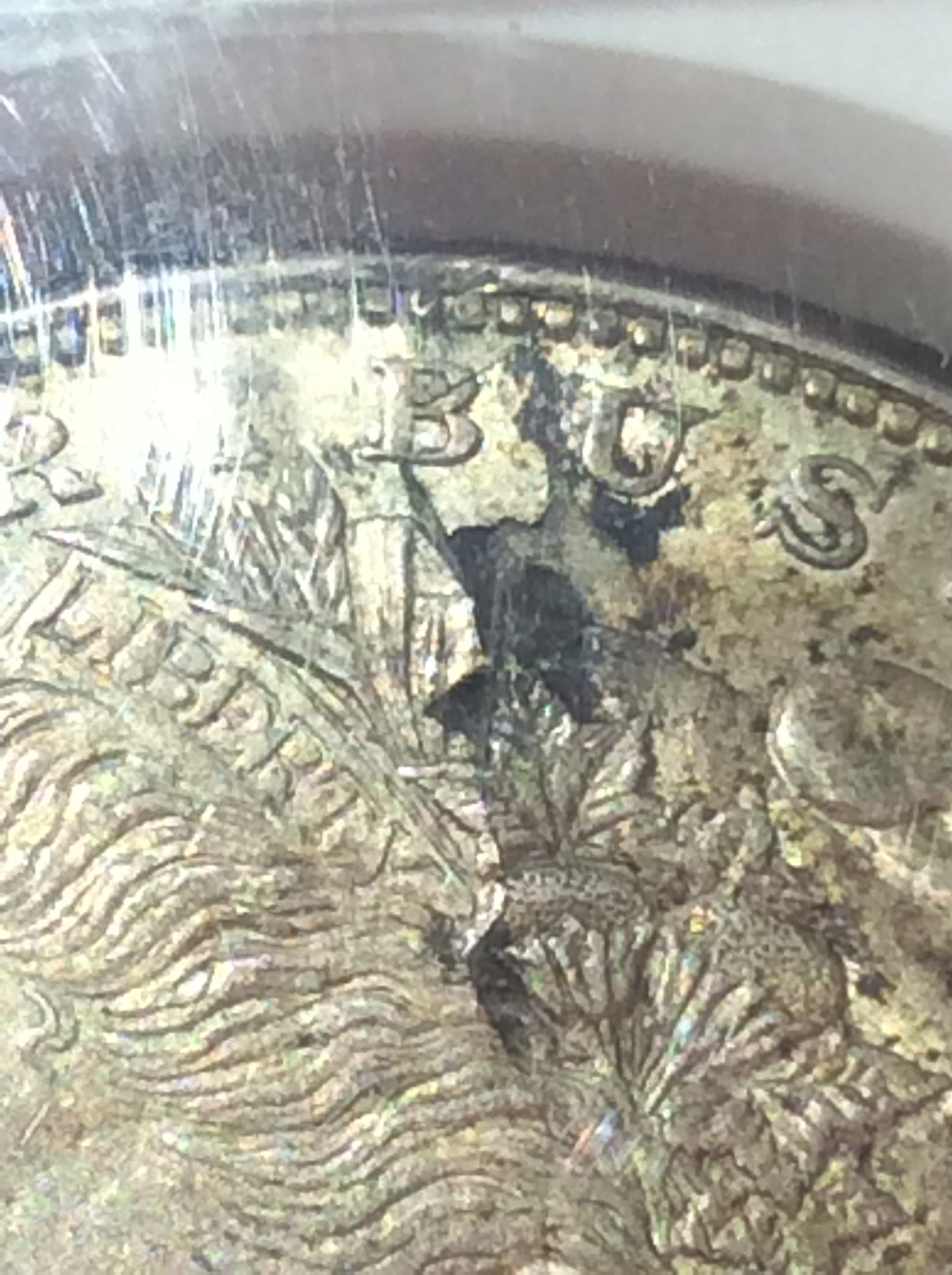 Scarce Mint Error Obverse Lamination MS61 1921 Morgan Silver Dollar ...