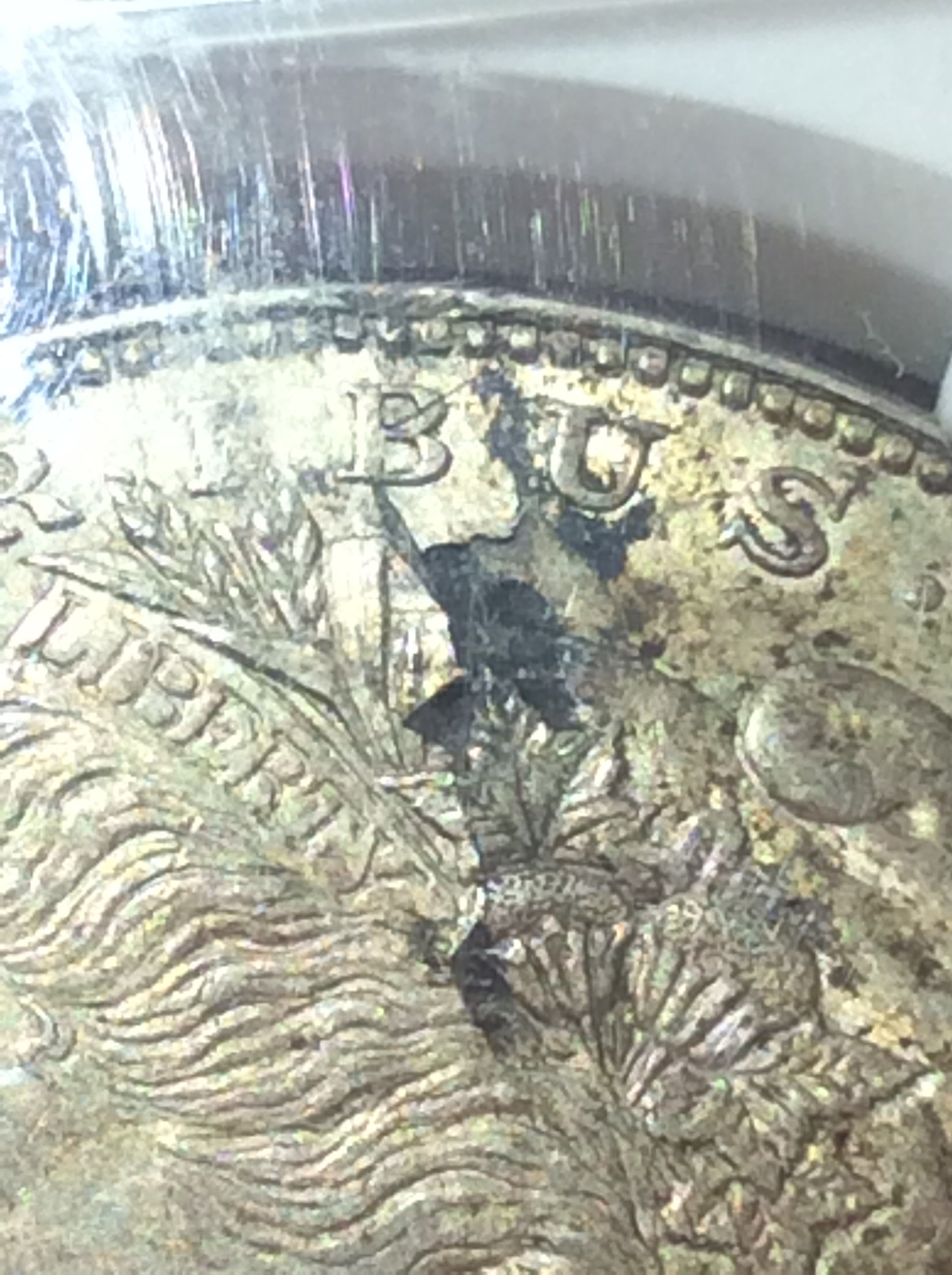 Scarce Mint Error Obverse Lamination MS61 1921 Morgan Silver Dollar ...
