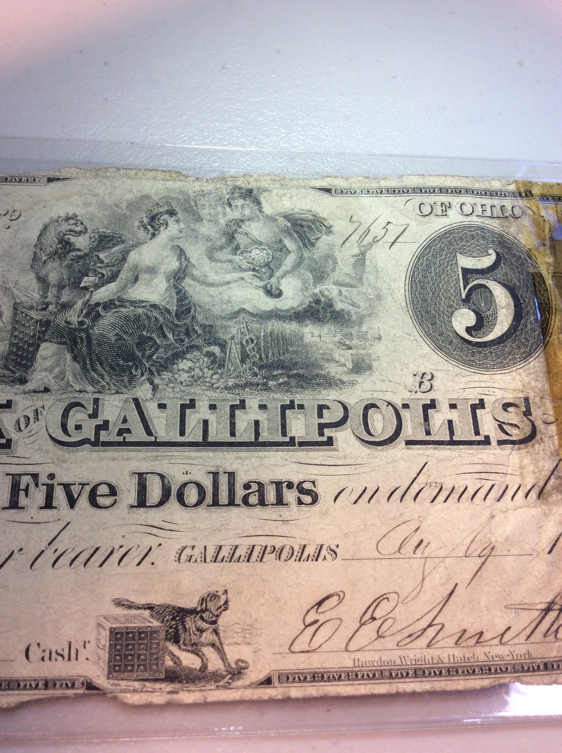 Few in Existence 1839 Bank of Gallipolis 5 Dollars Bank Note- Rare Low ...