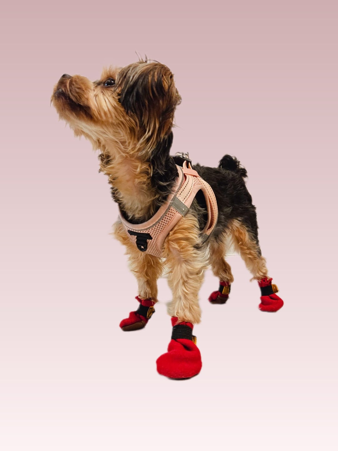 PAWMA Handmade Custom Booties for Dogs Set of 4 1 Spare Included - Etsy