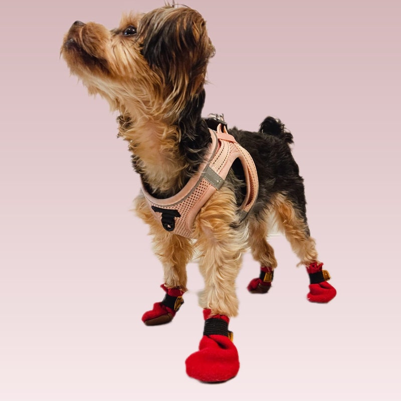 Dog Booties - Etsy