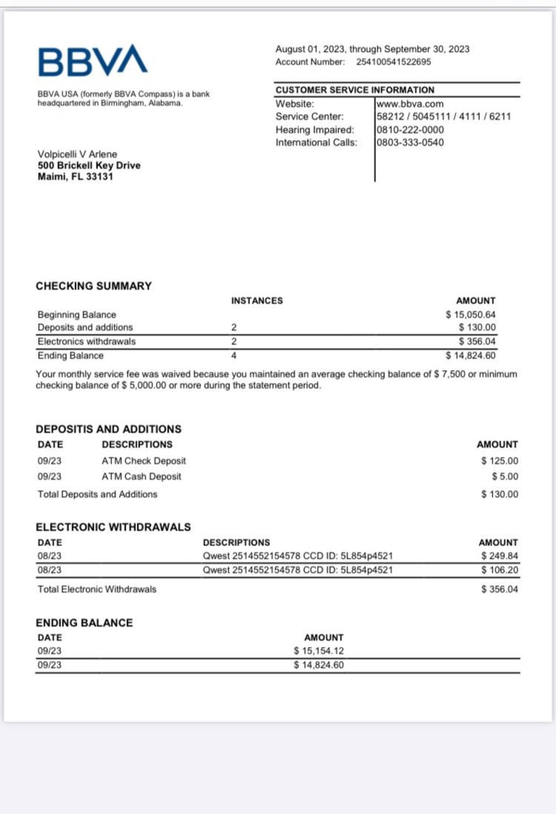 Editable Bank Statement - Etsy