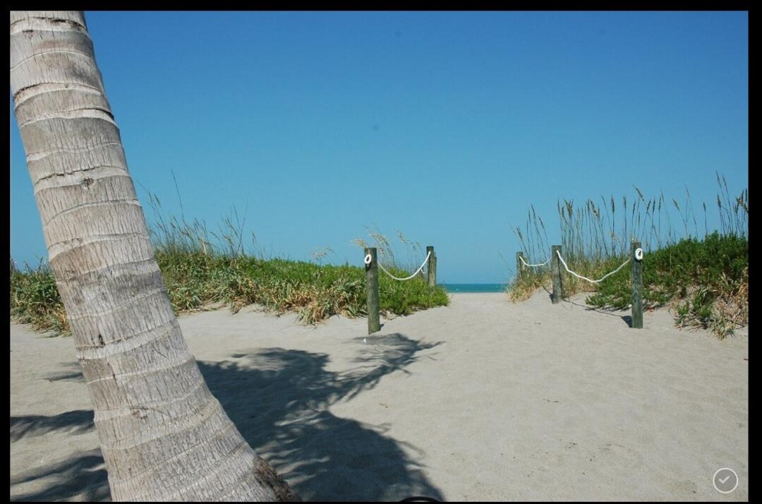 Florida Beach Path Wall Art – Coastal Photography Print With Palm Tree ...