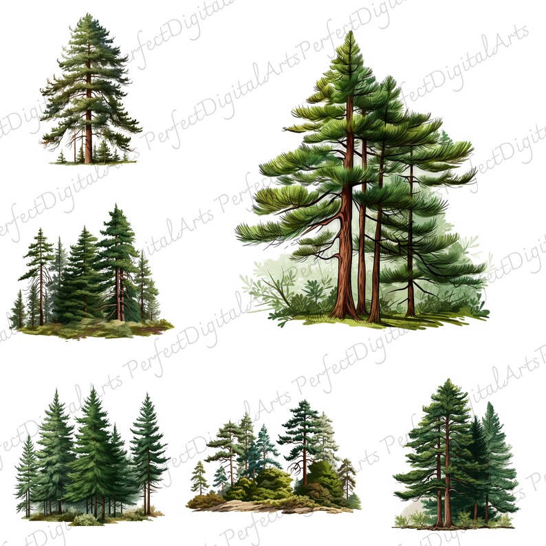 Nature-inspired Pine Tree Clipart Forest Landscape, Woodland Tree ...