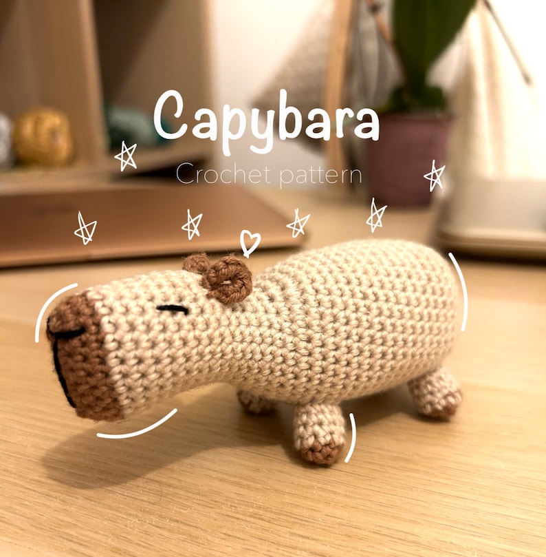 Capybara Crochet Pattern - Etsy