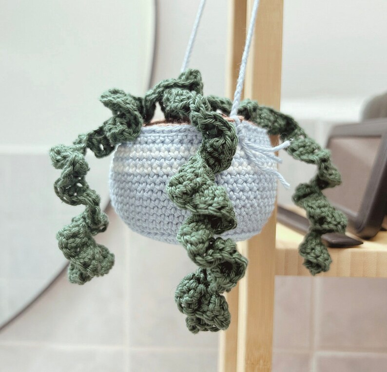 Little Hanging Plant Crochet Pattern - Etsy
