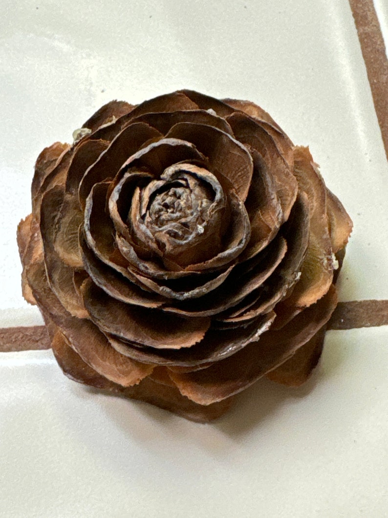 Cedar Rose Pine Cones - Etsy