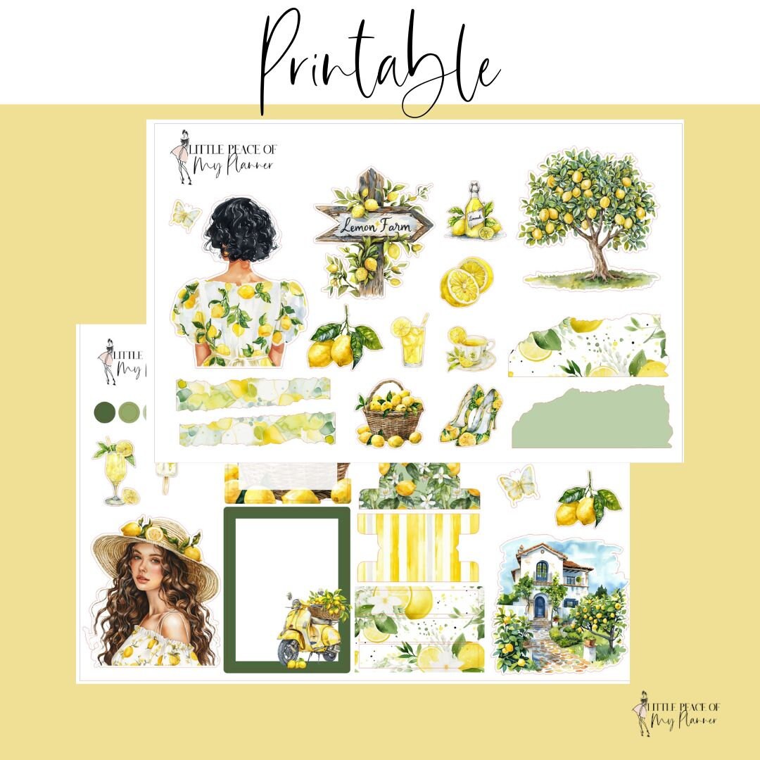 Summer Planner Printable Stickers for Happy Planners and 7X9 Planner ...