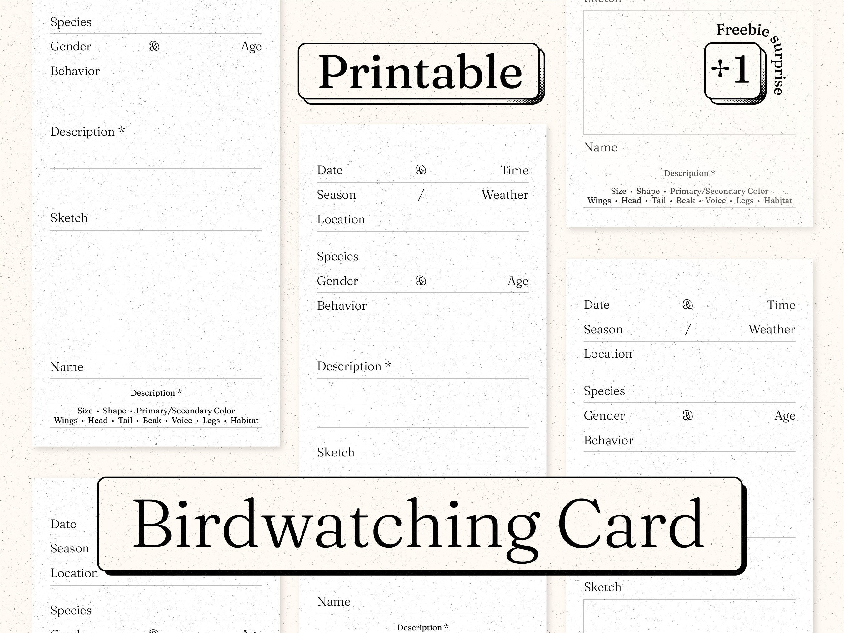 Printable Birdwatching Card, Fun and Easy Outdoor Hobby or Gift ...