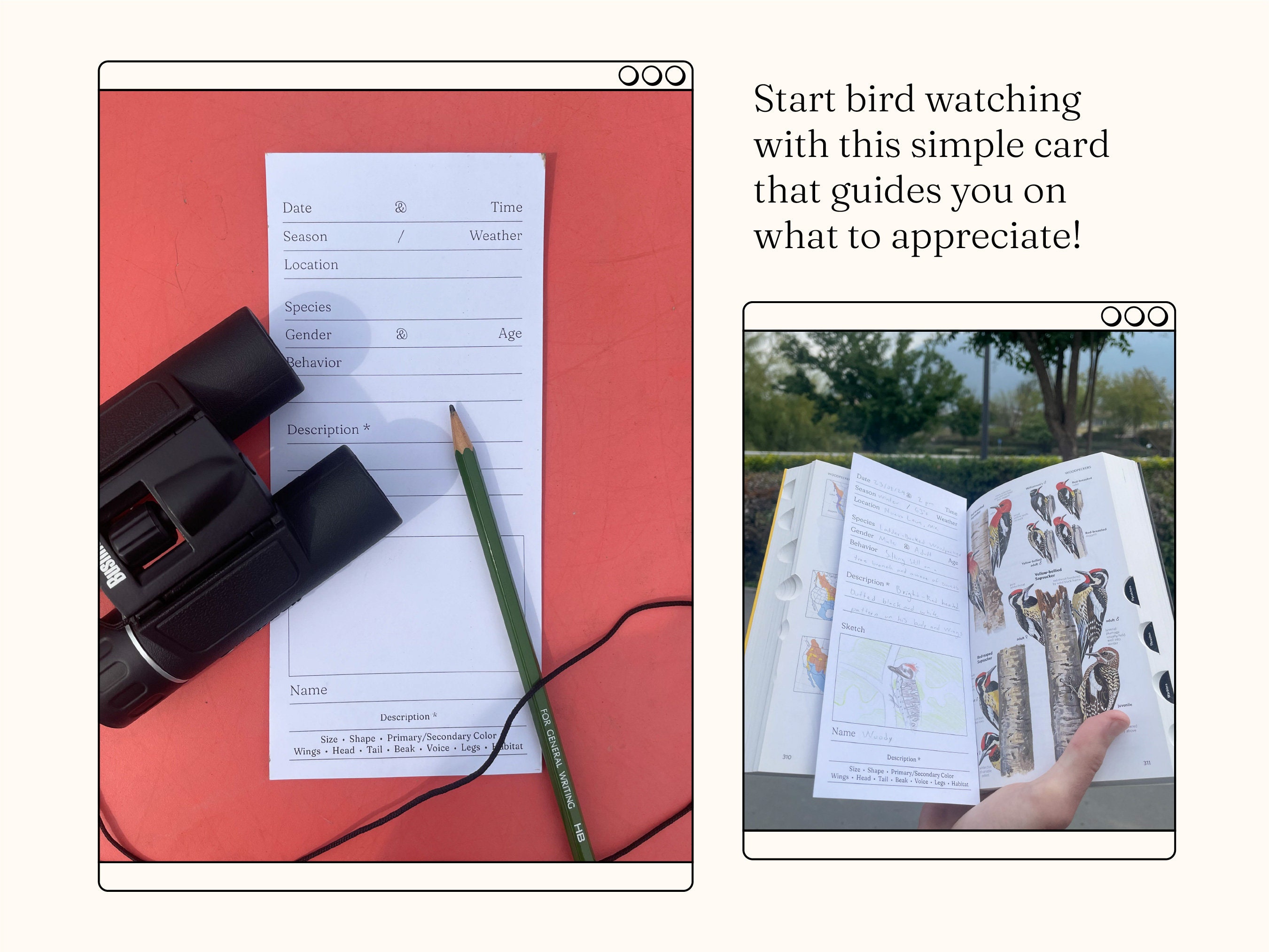 Printable Birdwatching Card, Fun and Easy Outdoor Hobby or Gift ...