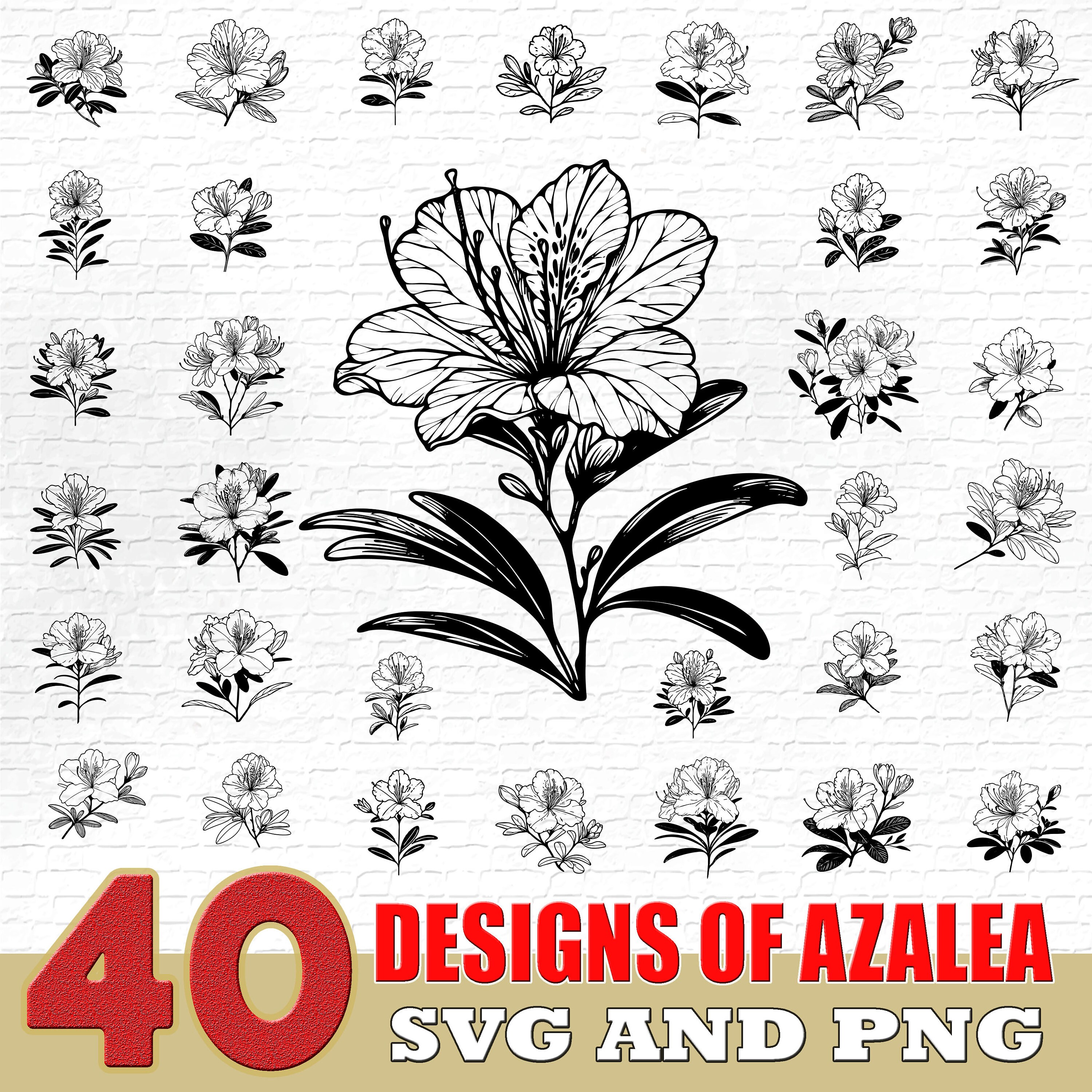 Azalea Bundle Flowers Bundle Svg, Birth Flower Svg, Floral Svg ...